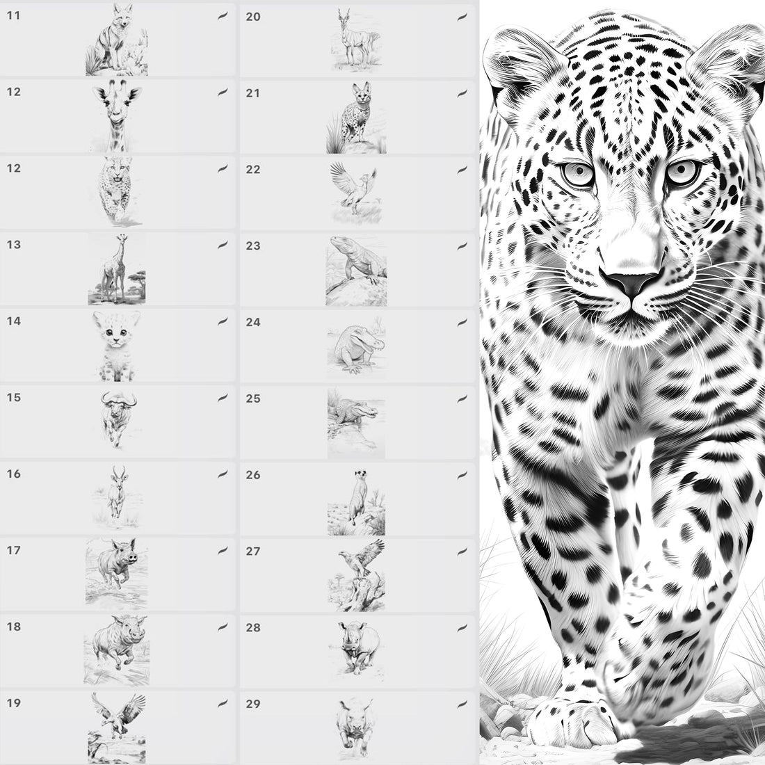 30 Safari Animals Brushes for Procreate and Photoshop – ProCreativeBreeze