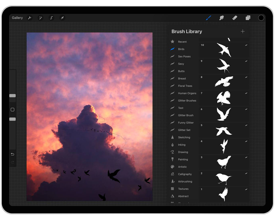 35 Procreate Birds Brushes – ProCreativeBreeze