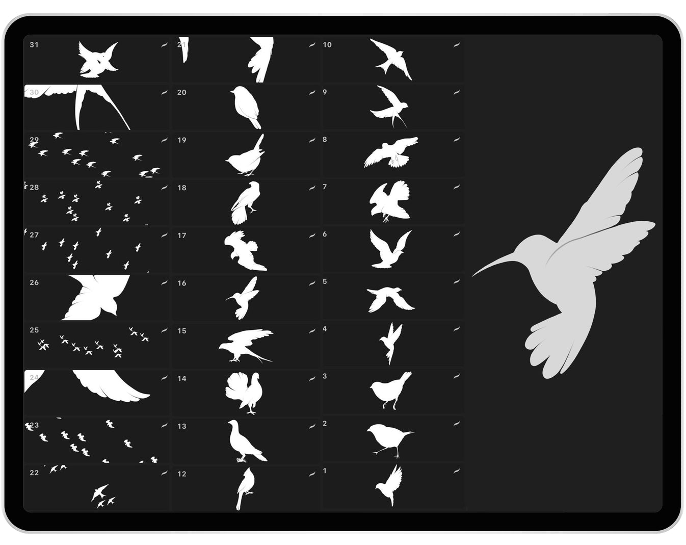 35 Procreate Birds Brushes – ProCreativeBreeze