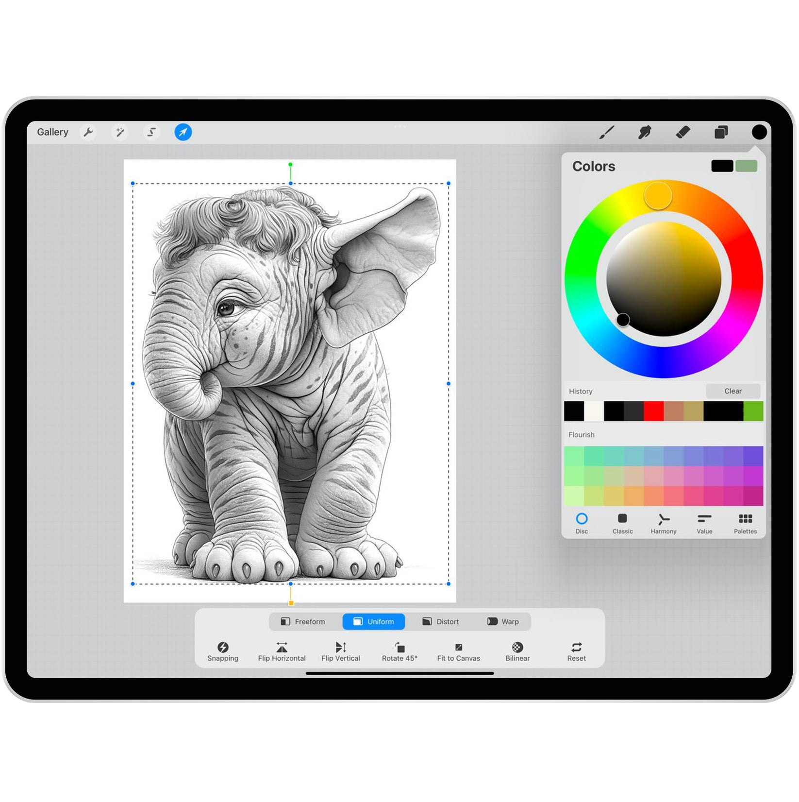 48 Cute Animals Brushes for Procreate and Photoshop – ProCreativeBreeze