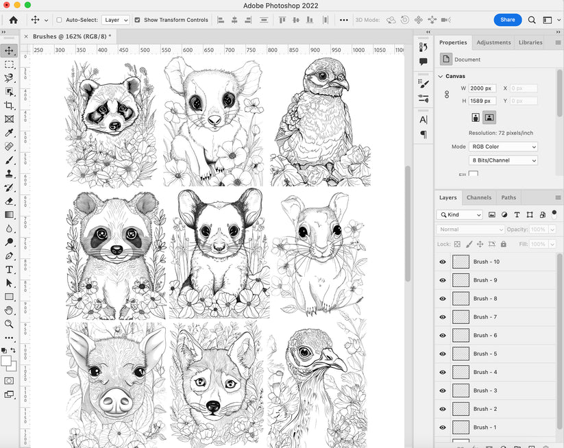 40 Woodland Animals Brushes for Procreate and Photoshop – ProCreativeBreeze