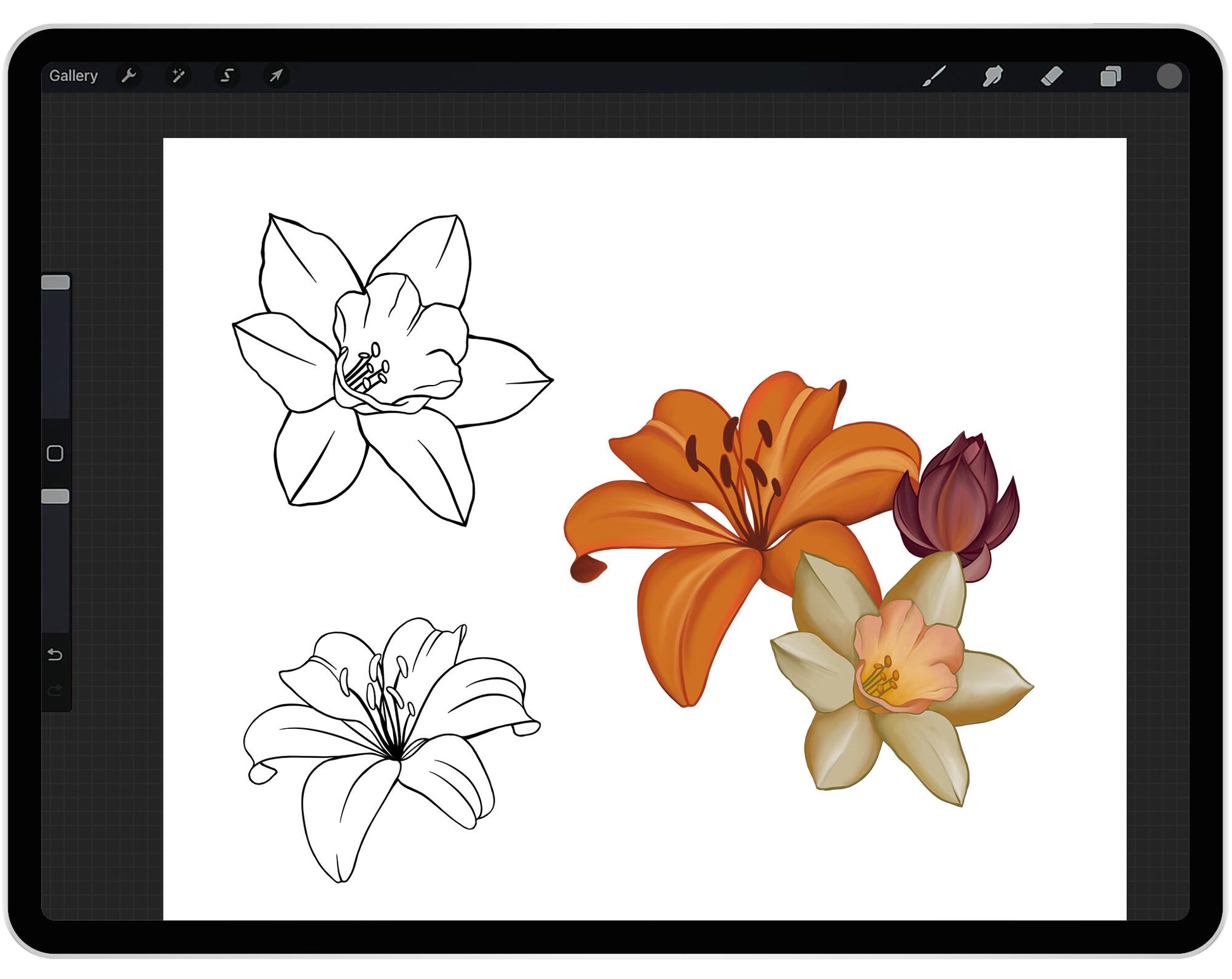 20 Procreate Flowers Stamp Brushes – ProCreativeBreeze
